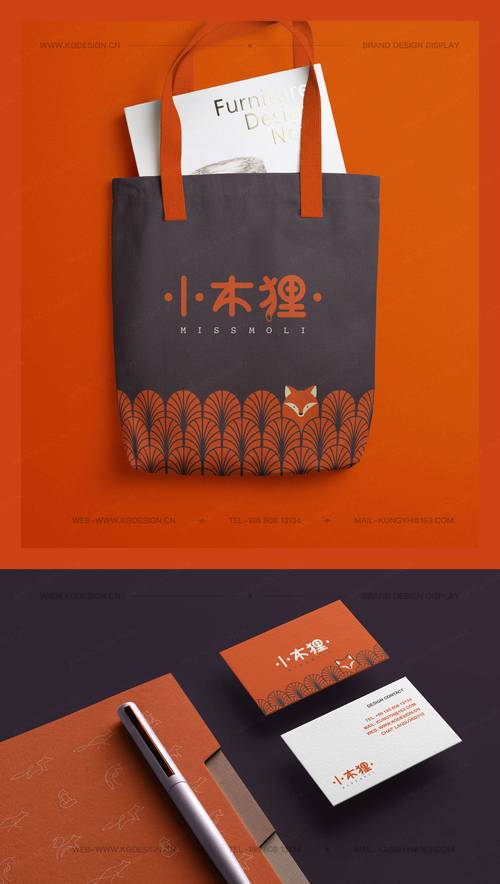 小狸免费小说手机图标