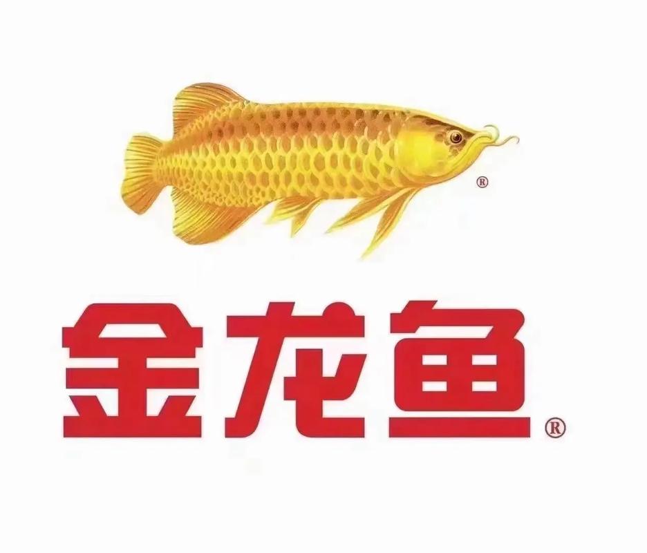 龙鱼宝宝赚钱截图