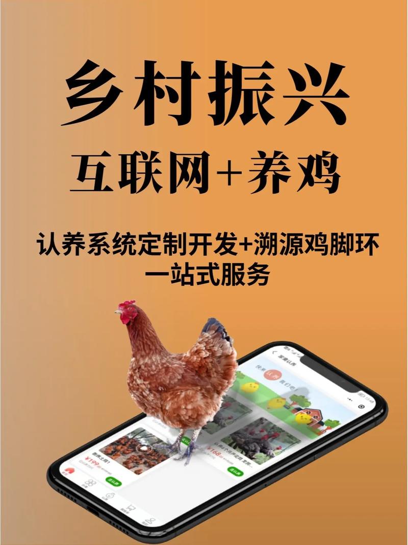 云养鸡手赚