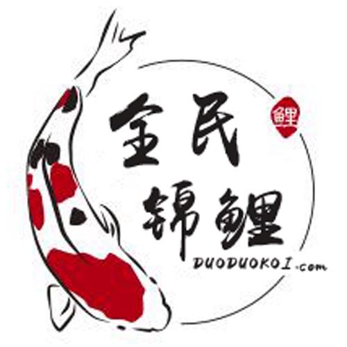 多多锦鲤