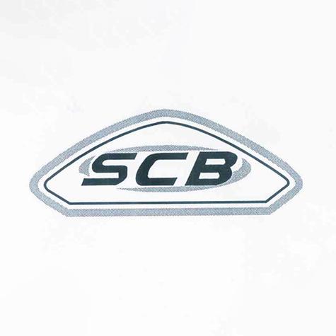 SCB共享汽车链截图
