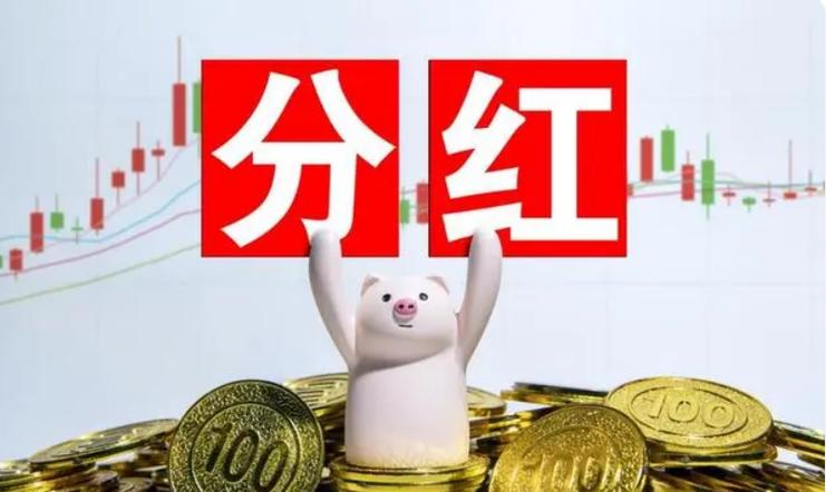猪猪分红官网版