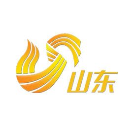 2020年山东省截图