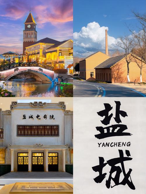 我的盐城手机正式图标