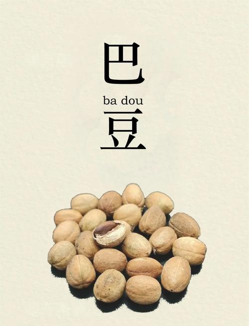 巴豆好赞手机版
