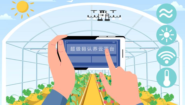 云养鸡区块链安卓截图