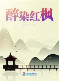 醉枫小说截图