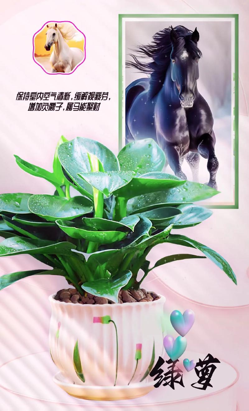 绿萝网分享赚钱微