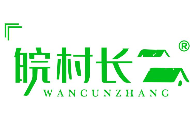 共享村长分红版截图