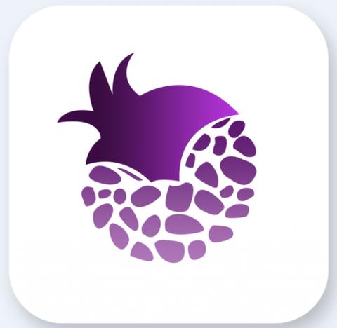 紫石榴应用商店截图
