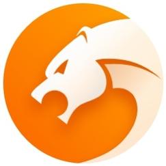 猎豹浏览器新春专图标