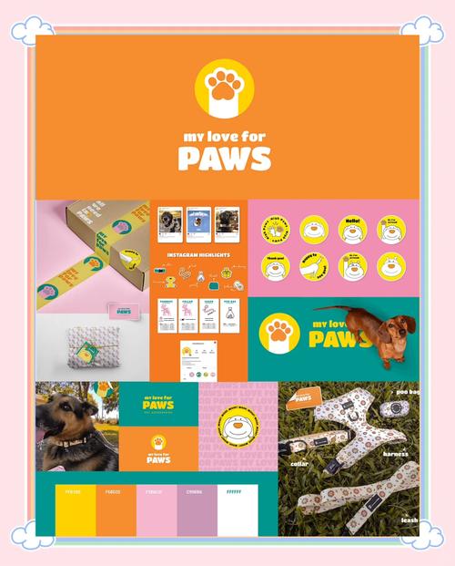 猫爪短视频碎片交图标