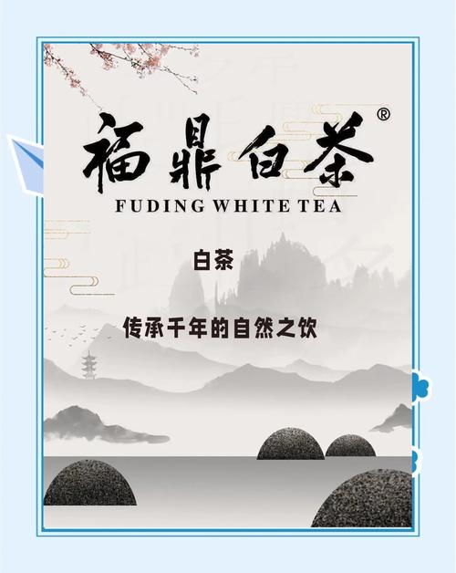 白茶小说手机版图标