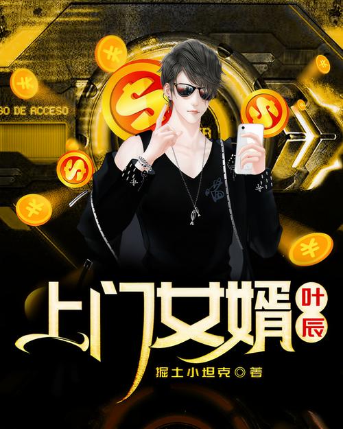 上门女婿叶辰小说图标