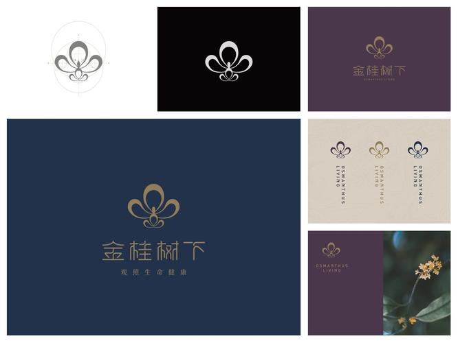 金桂赚截图