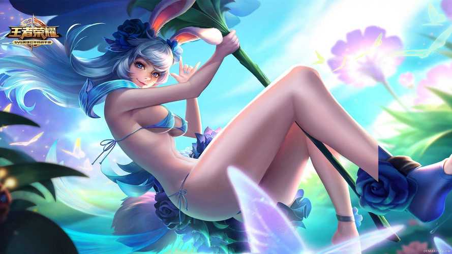 王者荣耀去1软件