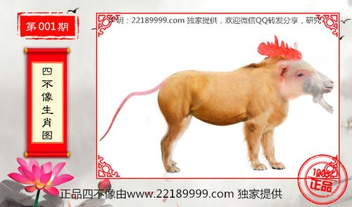 今期四不像图玄机