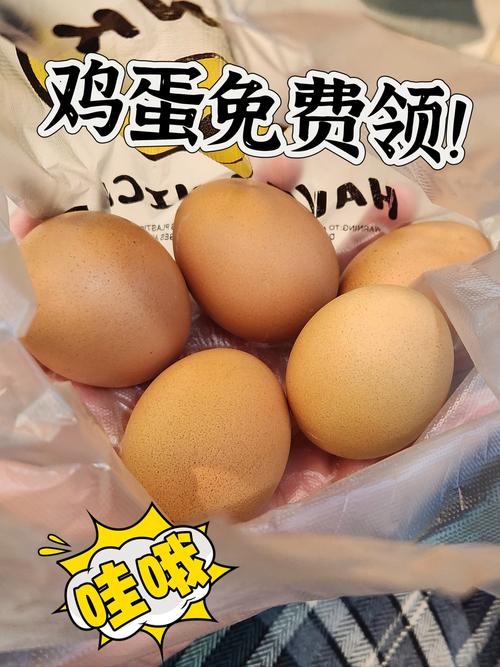 鸡社区免费领鸡蛋