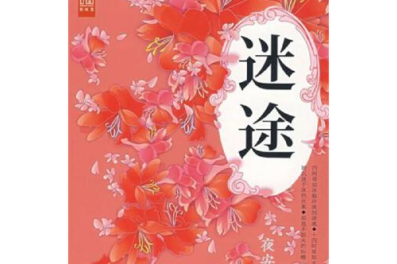 迷途小说百度版截图