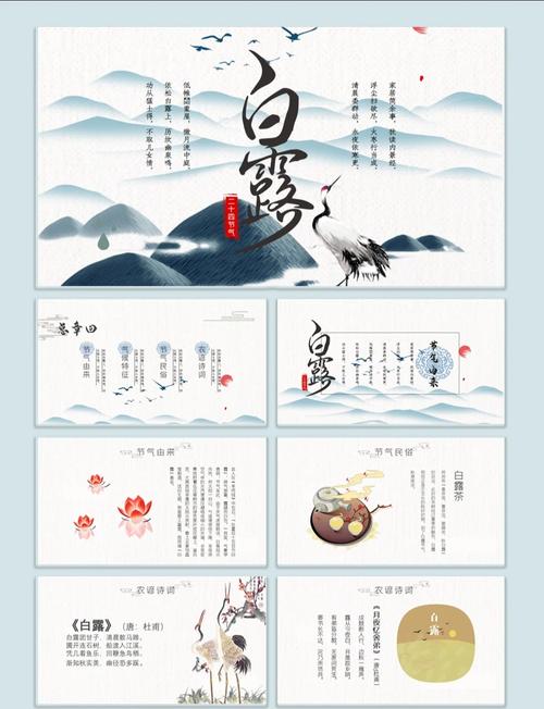 白露网app
