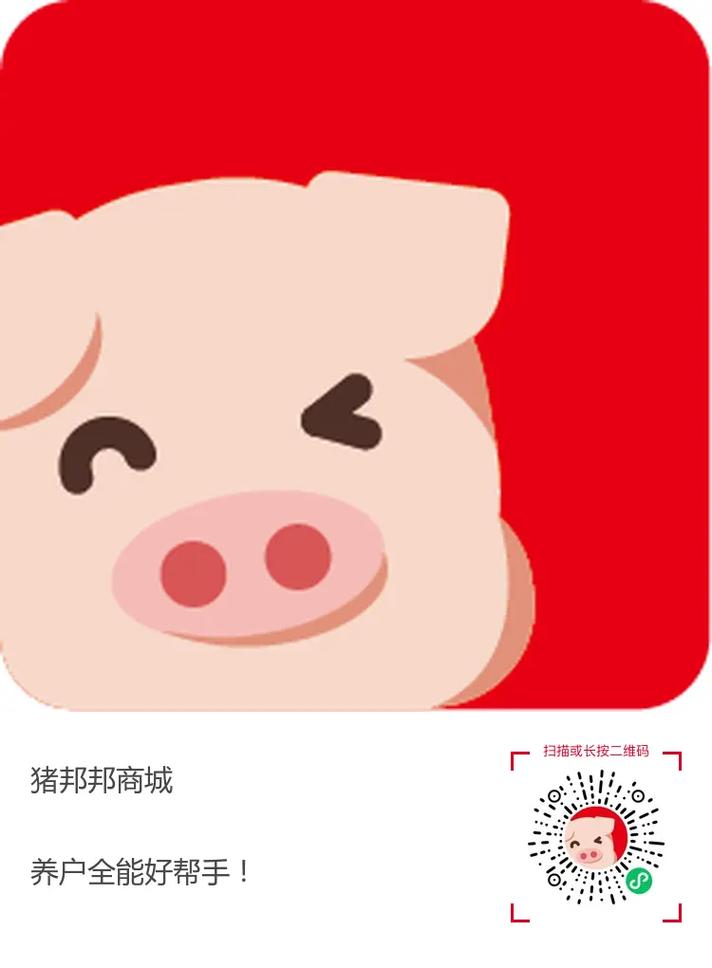 小猪帮帮app图标