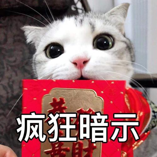 疯狂暗示红包表情图标