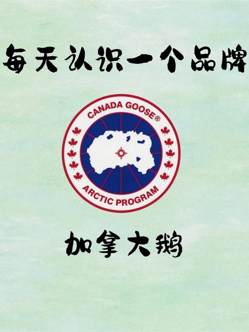 桌面大鹅宠物图标