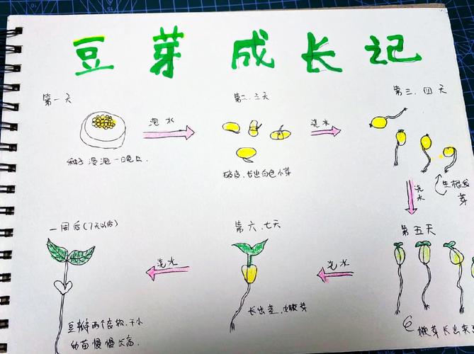 豆芽漫画全集免费