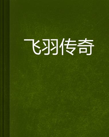 飞羽小说