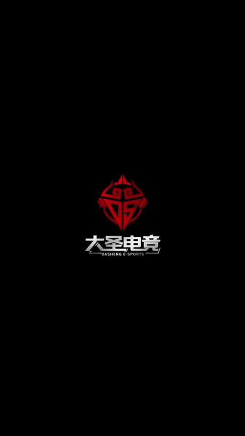 大圣电竞app官网版图标