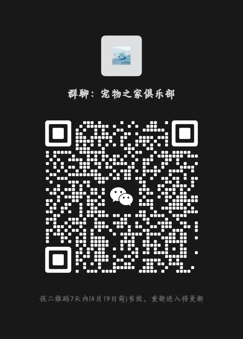 飞狗接码验证平台图标
