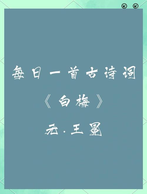 白梅小说免费阅读截图