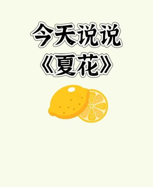 夏花资讯转发分享