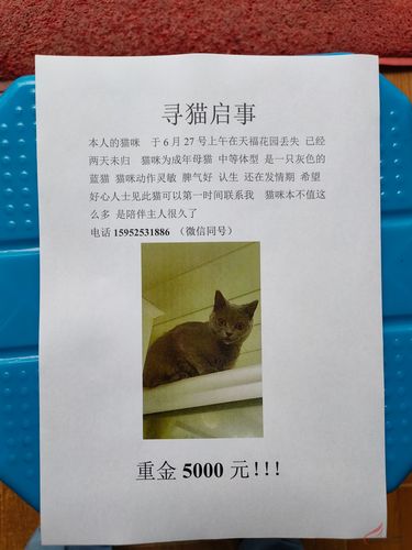 赏赚猫悬赏图标