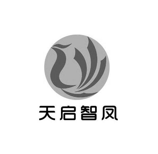 天启智凤