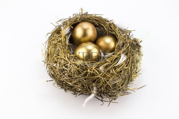 金鸟巢游戏图标