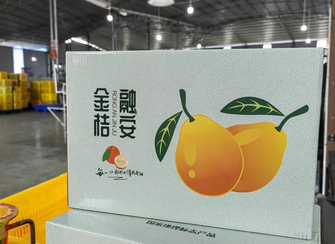 金桔子打卡赚钱平图标