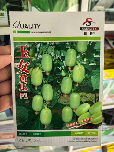 黄瓜兼职手机版