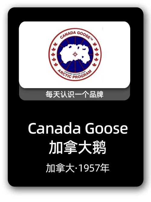 大鹅管家