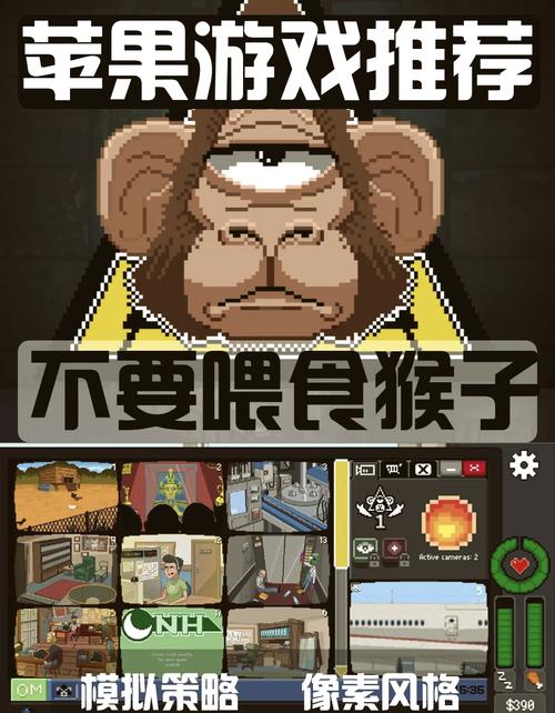 不要喂猴子
