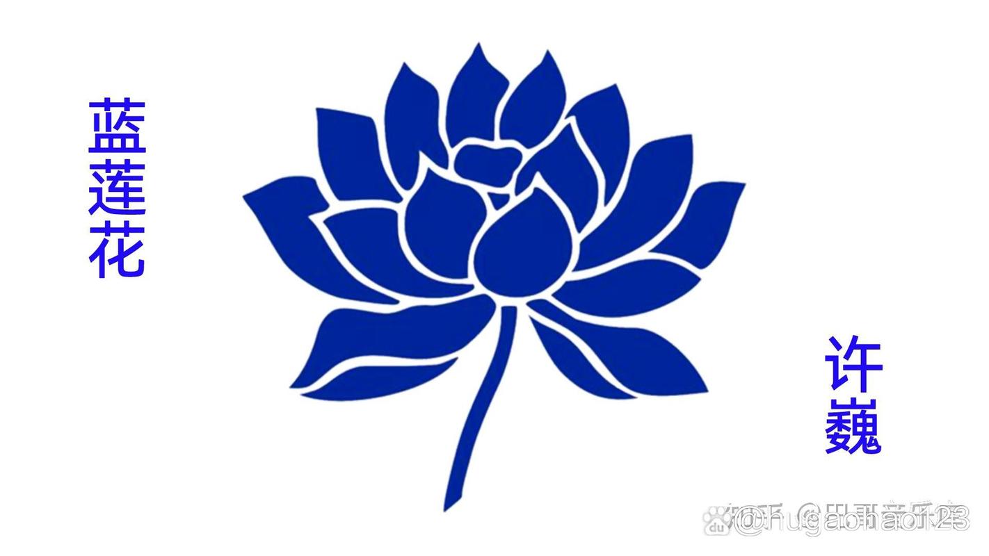 蓝莲花截图