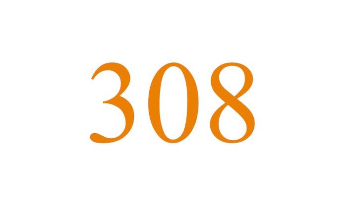 308k二四六天截图