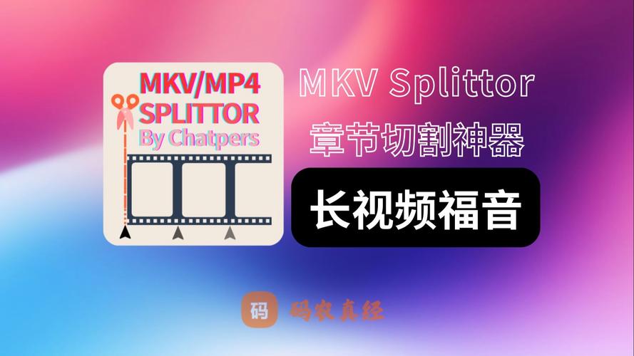 mkv解码器(CombinedCommunityCodecPack)图标