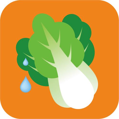 蔬菜大亨图标