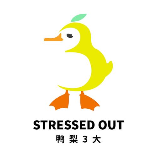 鸭梨搜书安装截图