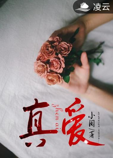 真爱小说手机版正截图