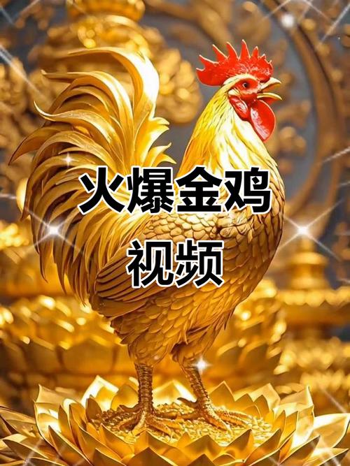 金鸡短视频赚钱版图标