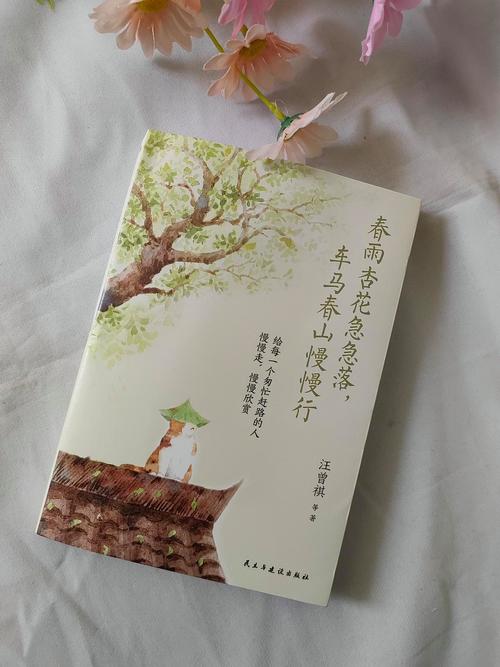 杏花免费小说永久截图