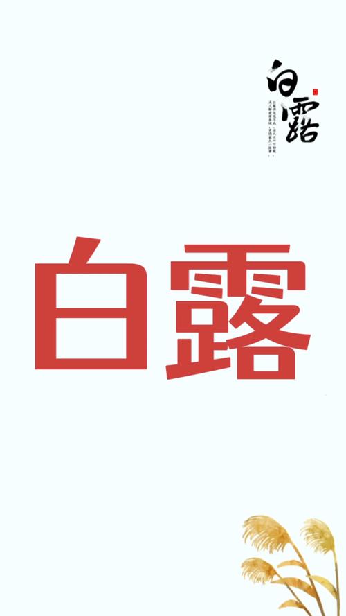 白露网app