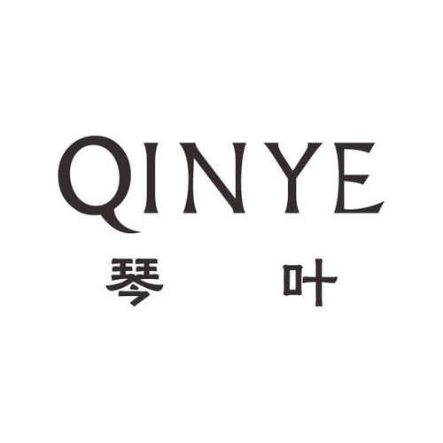 琴叶小说手机版截图